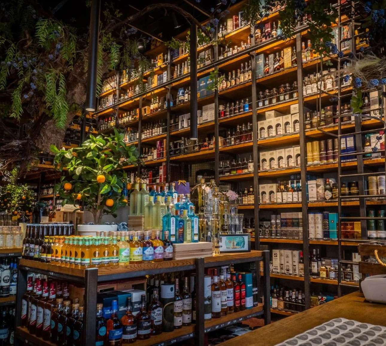 Largest Wine and Liquor store in and around Rotterdam